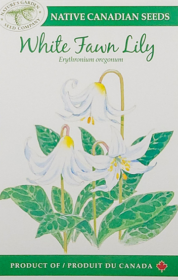 DCV Online Store - Details